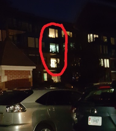 Lighting, Light Bulbs, Paint Colors and You - The Refreshed Home